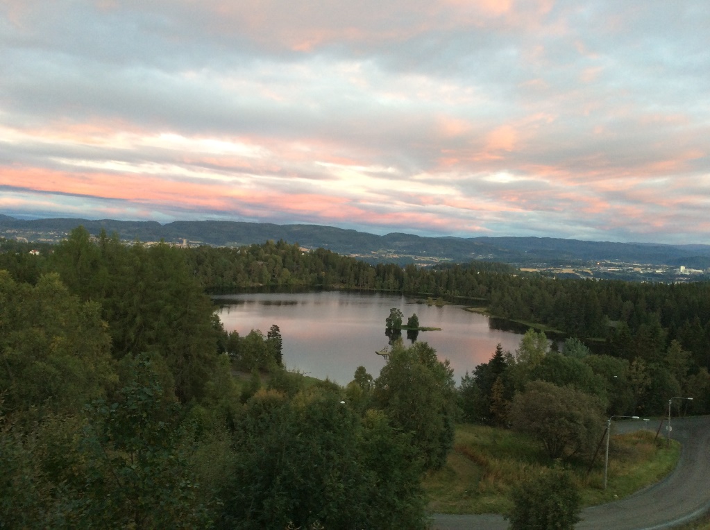 東北大学多元物質科学研究所 固体イオニクス・デバイス研究分野（雨澤研究室）