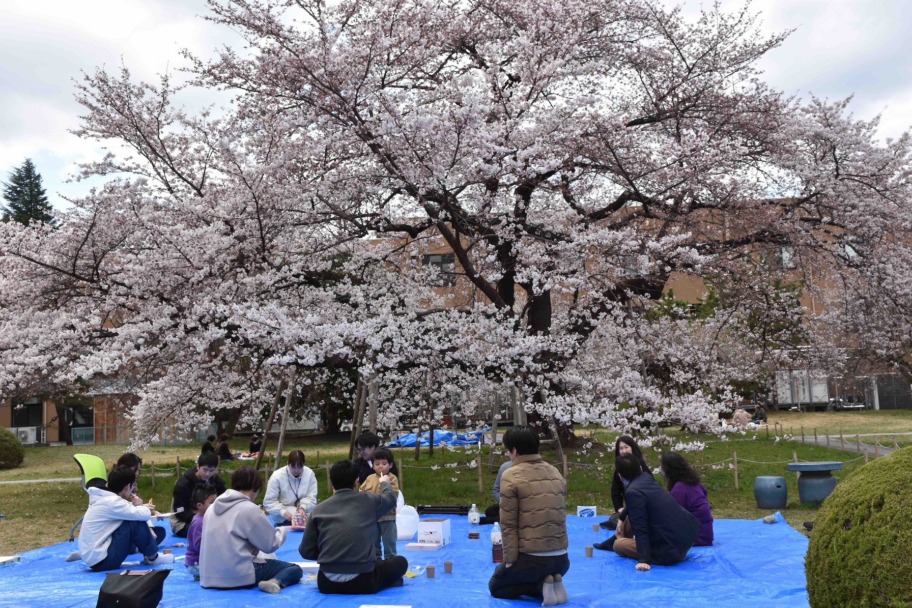 Event | 陣内研究室 | 東北大学多元物質科学研究所