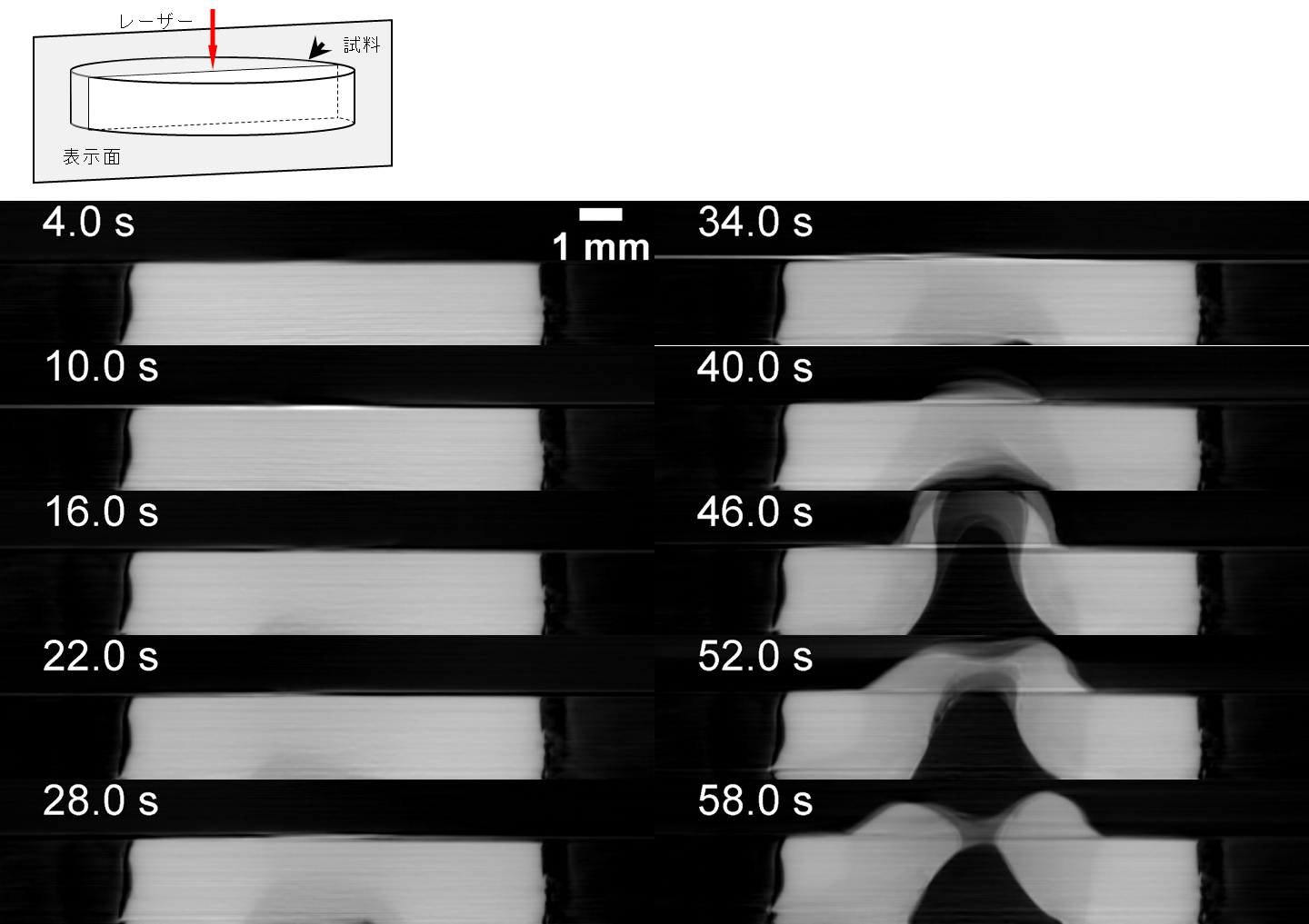 Development and application of X-ray 4D phase tomography – 百生研究室