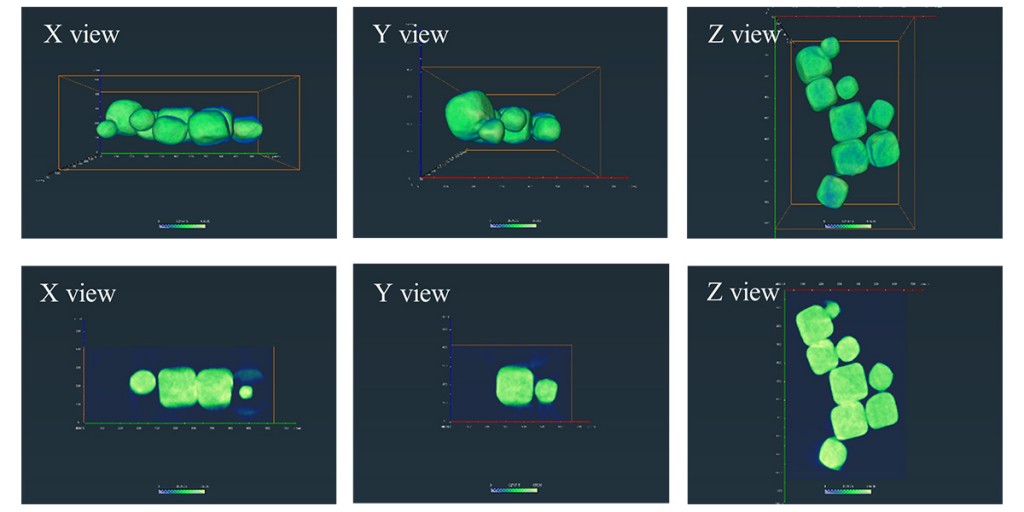 多元物質科学研究所