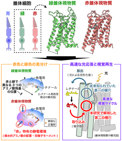 多元物質科学研究所